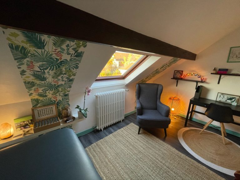 Je lance mon activité ! par Stéphanie Pinel